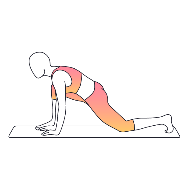 Physera - Kneeling Hip Flexor Stretch